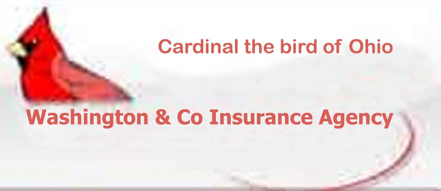 Auto Insurance-Property Insurance-Commercial Truck Insurance